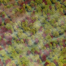 Villanova University Interactive Map & Virtual Tour